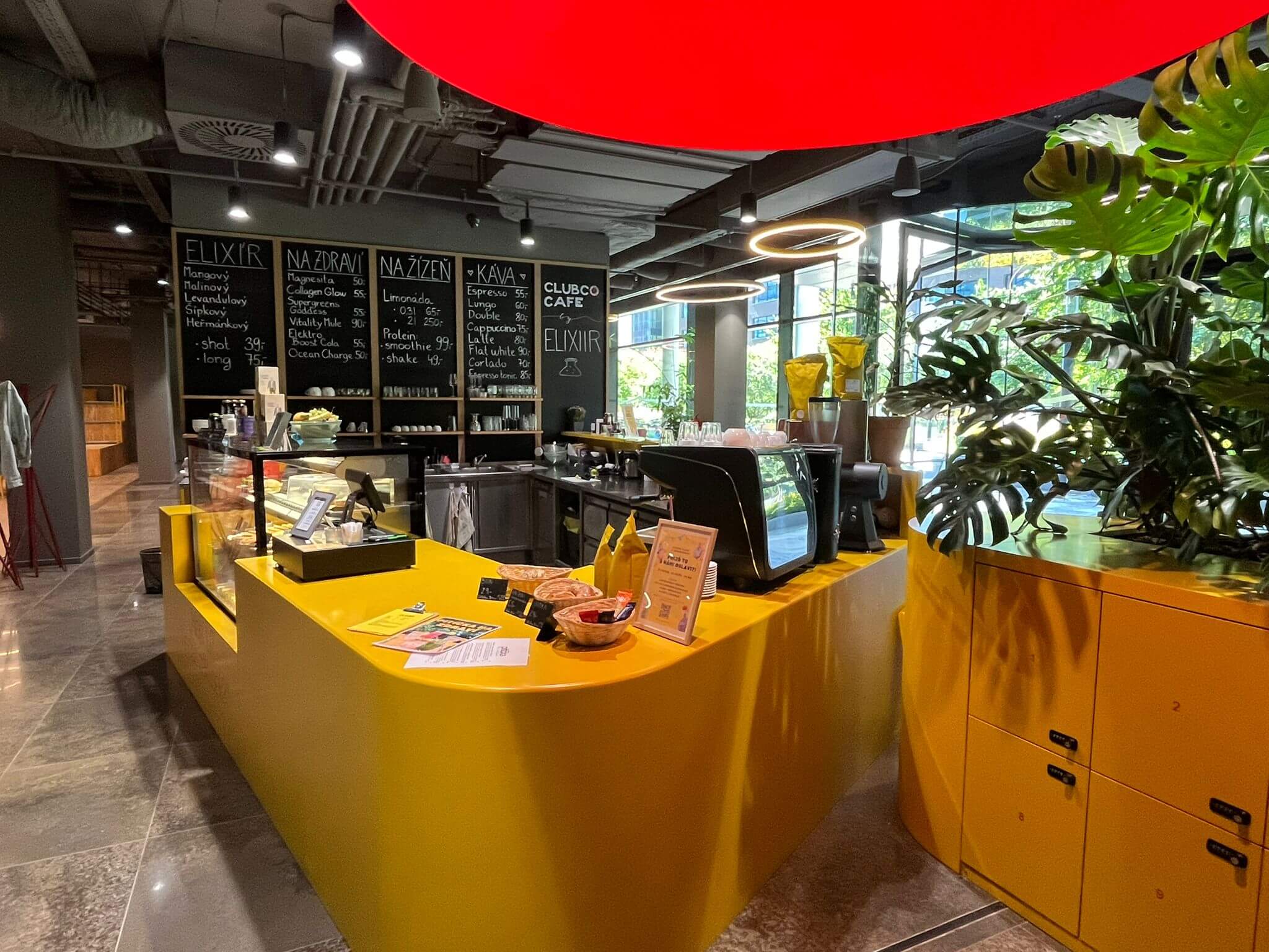 Vlněna is the ideal environment for a longevity bar, says café owner ...